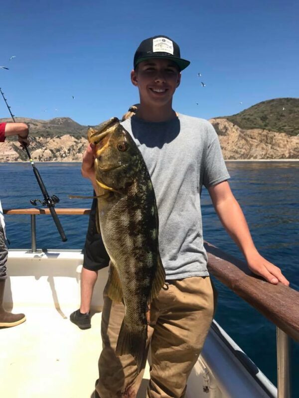 White Seabass at the Northern Channel Islands – Channel Islands ...