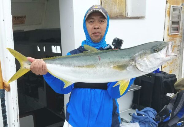 Yellowtail continue to bite in the Channel Islands – Channel Islands ...