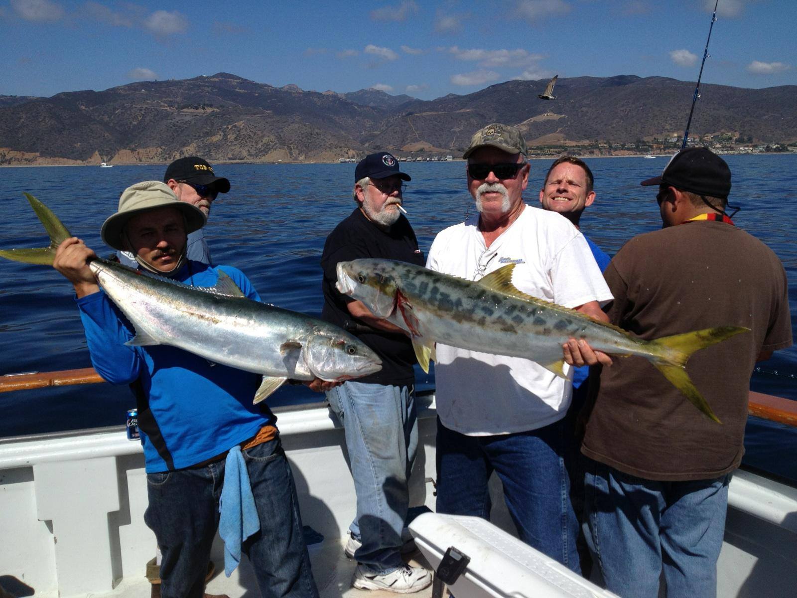 Weekly Fishing Report for Channel Islands Sportfishing – Channel ...