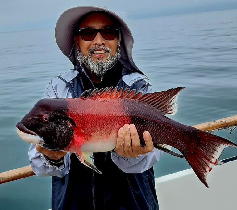 Fish Reports – Channel Islands Sportfishing