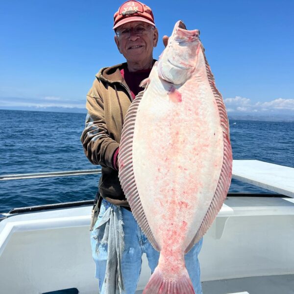 Surface fishing action is picking up! – Channel Islands Sportfishing